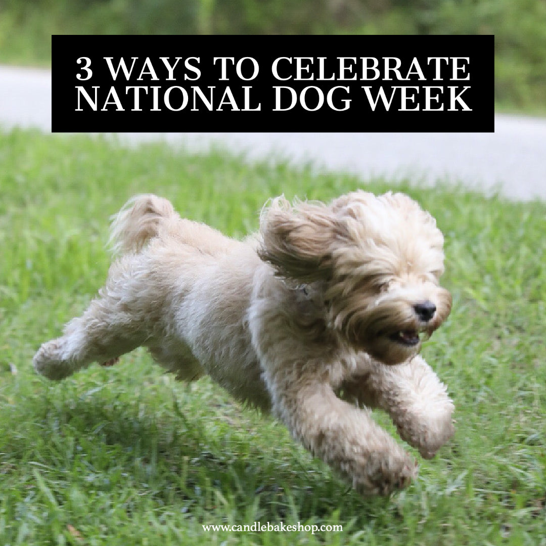 3 Ways to Celebrate National Dog Week – Candle Bake Shop